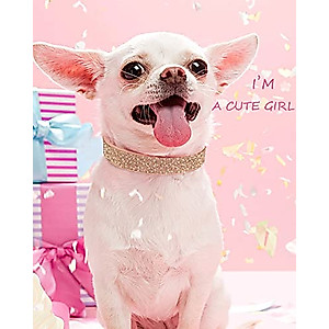 Dog Collar for Small Dogs, Adjustable Leather Suede Bling Dog Collars，Pink Dog Collar Cat Collar, Rhinestone Dog Collar(S, Pink)