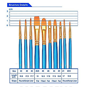 BOSOBO Paint Brushes Set, 2 Pack 20 Pcs Round Pointed Tip Paintbrushes Nylon Hair Artist Acrylic Paint Brushes for Acrylic Oil Watercolor, Face Nail Art, Miniature Detailing and Rock Painting, Blue