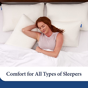 Cosy House Collection Luxury Rayon Derived from Bamboo Shredded Memory Foam Pillow - Adjustable & Removable Fill - Cool & Breathable Cover with Zipper for Side, Back, & Stomach Sleepers (Queen)