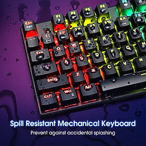 Mechanical Gaming Keyboard, Customizable Rainbow LED Backlit USB Wired Keyboard with Small Size/87 Keys/Multiple Colors/Detachable Keycaps/Spill Resistant,Ergonomic Keyboard for Windows