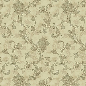 RTC Fabric, Cotton Duck 54" Jaco Fres Brown Fabric, per Yard