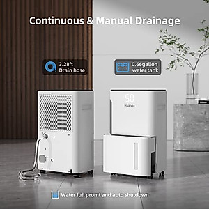 HOGARLABS 3500 Sq. Ft 50 Pint Energy Star Dehumidifier for Home Basements Bedroom Bathroom | Dehumidifiers with Drain Hose for Medium to Large Room | Intelligent Humidity Control | Quiet & Energy Efficient