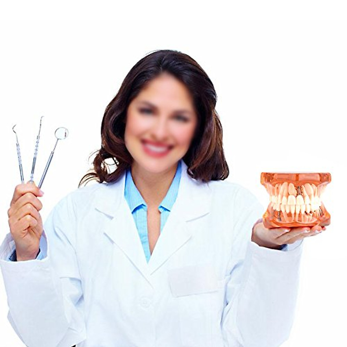 Maxmartt Teeth Model, Dental Demonstration Dental Implant Removable Study Model Teeth Teaching Model for Student Teacher, Orange