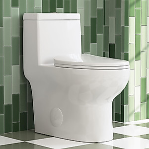 DeerValley DV-1F026R Elongated One Piece Toilet, Dual Flush 1.1/1.6 GPF Toilet with ADA Comfortable Seat Height, Powerful & Quiet Modern Standard Toilet for Bathroom, 10" Rough-In