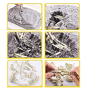 Dinosaur Fossils Dig Kit for Kids，Dig Up Dinosaurs Skeleton Set, Archaeology for Kids Educational Toys,Dinosaur Toys for Kids 8-12，Kids Gifts，Science Kits