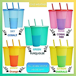 Color Changing Cups Set Cooler 24oz Reusable Plastic Cold Drink Cups with Lids and Straws for Adults Straws In Bright Colors, 5 Iced Coffee Cup, Smoothie Cups with Lids and Straws, Tumbler with Straw