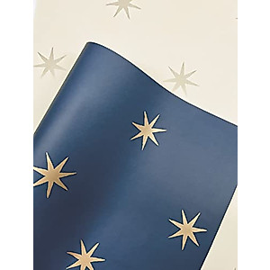 Erin & Ben Co. PSW1451RL Navy and Metallic Gold Star Splendor Premium Peel and Stick Wallpaper Blue