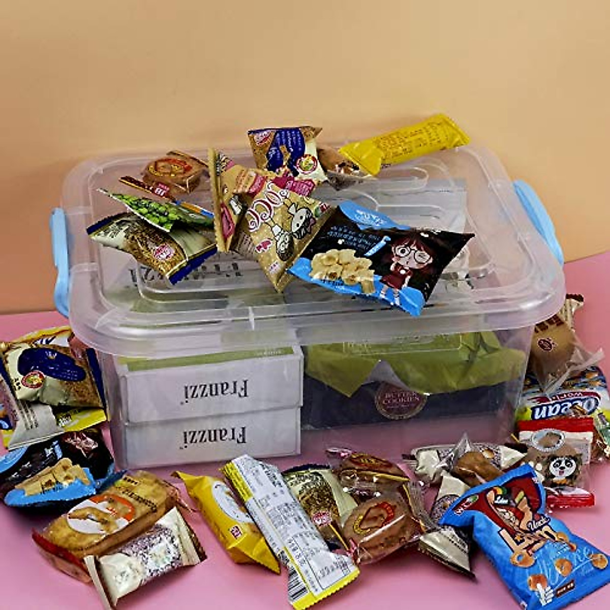 Ponpong 8 Quart Plastic Storage Container with Lid and Handles, 2 Packs