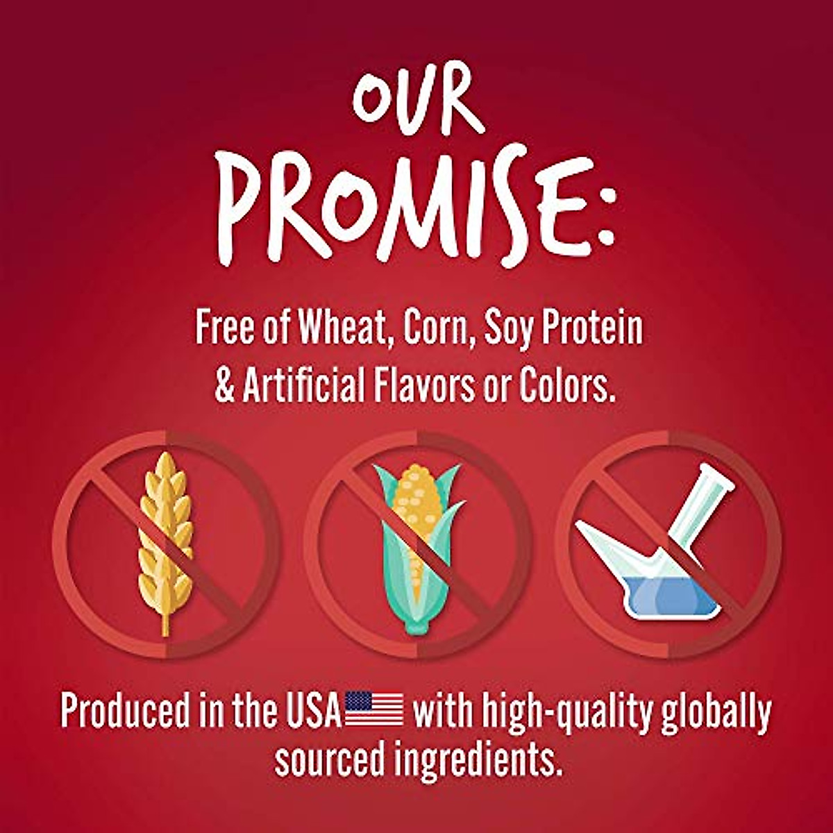 Fruitables Biggies Dog Biscuits – Crunchy Dog Biscuits Made with Pumpkin – Healthy Dog Treats Packed with Real Fruit Flavor – Free of Wheat, Corn and Soy – Crispy Bacon & Apple – 16 oz