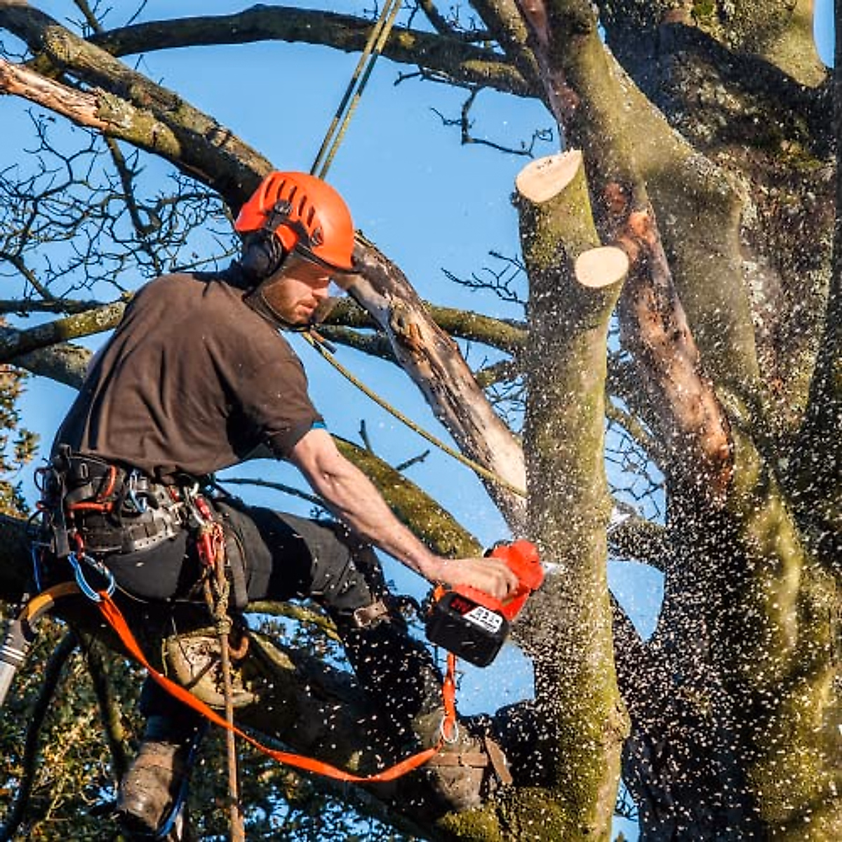 Mini ChainSaw Cordless with 2 Battery, 8&6 Inch Mini Handheld Chain Saw with Replacement Chain, Small Battery Powered Electric Portable Chain Saw for Branch Wood Cutting and Garden Tree Trimming