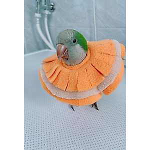 Adjustable Parrot Cone Collar, Safe and Practical Cotton Collar to Prevent Bites and Licking Wounds, to Help heal (4XL)