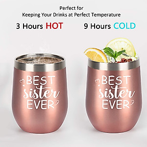 GINGPROUS Best Sister Ever Wine Tumbler with Lid, Sisters Birthday Gifts from Sister Brother Sister in Law Wine Tumbler, Stainless Steel Insulated Wine Tumbler with Straw (12 Oz, Rose Gold)