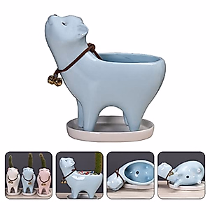 Vaguelly Succulent Pots Ceramic Planter Cat Ceramic Flowerpot Ceramics Plant Decorations Succulents Flower Pot Ceramic Succulent Planter Pots