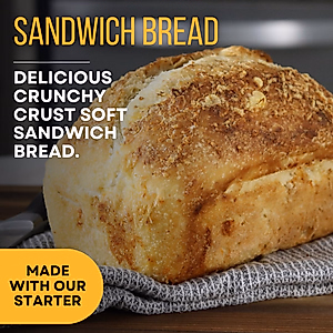 Better Bread Premium Heirloom Sourdough Starter Culture So Blessed Heirloom Style Freeze Dried Starter Culture for Baking Sourdough Bread | Perfect for Pancakes, Biscuits, Pretzels, & More | Non-GMO Prebiotic Artisan Bread | Made with Organic Ingredients