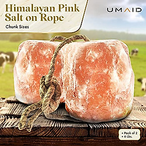 UMAID Himalayan Salt Lick 6 lbs On Rope for Horse, Deer, Goat, and Livestock Animals - Himalayan Salt Block 2 Pack