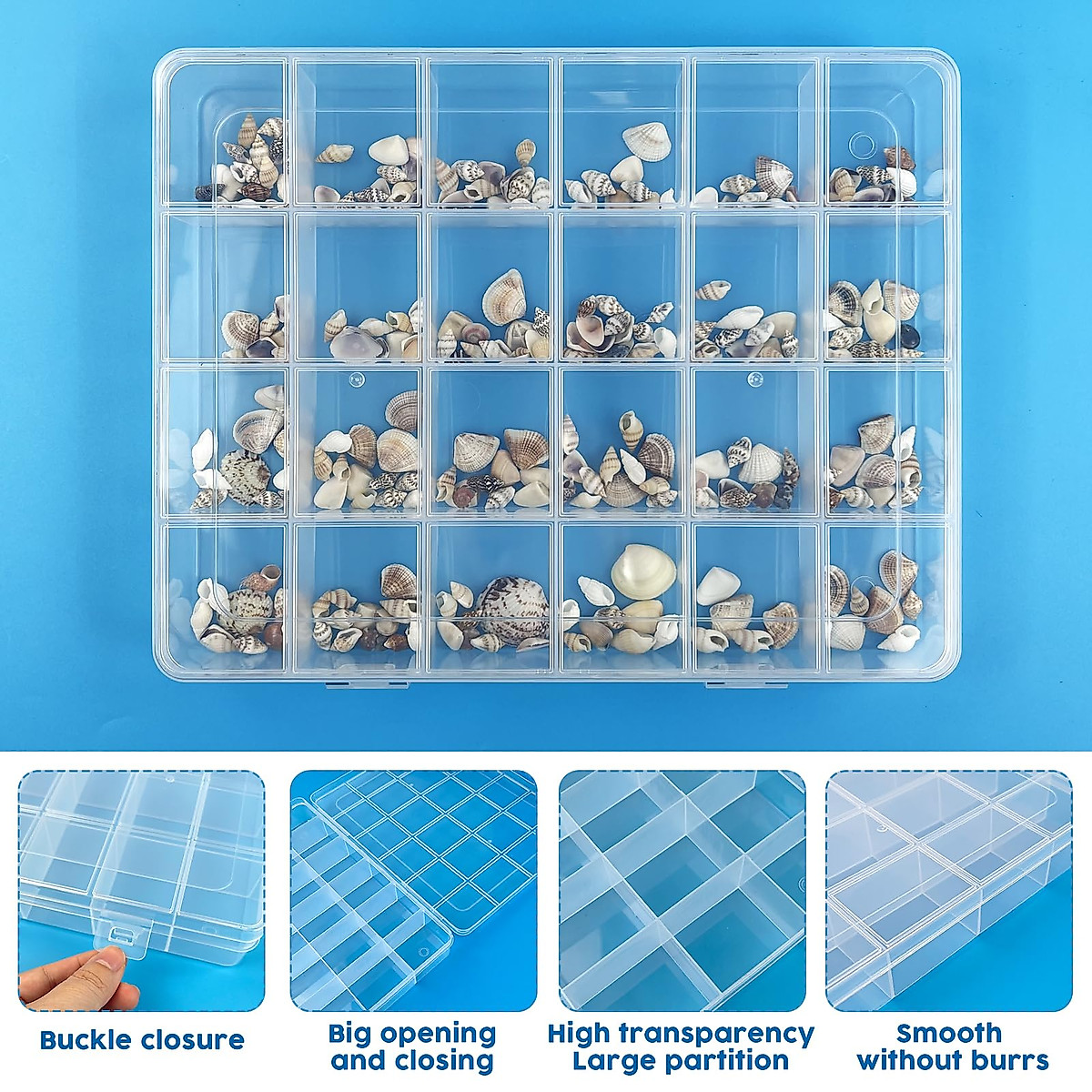 Rainmae Seashell Display Box, 24 Grids Seashell Storage Box, Transparent Plastic Seashell Starfish Trinket Storage Box, Small Craft Organizers Container for Bead, Nail, Jewelry, Stones