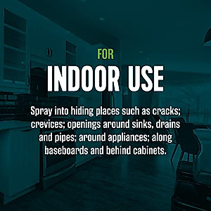 Ecologic Eco-Logic Ant & Roach Killer, Pack of 12