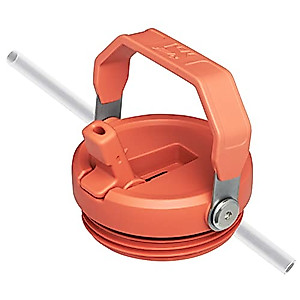 Stanley Classic IceFlow Flip Straw Tumbler for Kids (8 or Above), 20oz, Stan the Bear Stainless Steel , with Double-Wall Vacuum Insulation