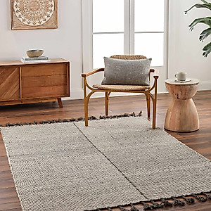 Hauteloom Abhay Wool Living Room, Bedroom Area Rug - Bohemian, Transitional - Light Gray, Taupe, Multi Brown - 8' x 10'