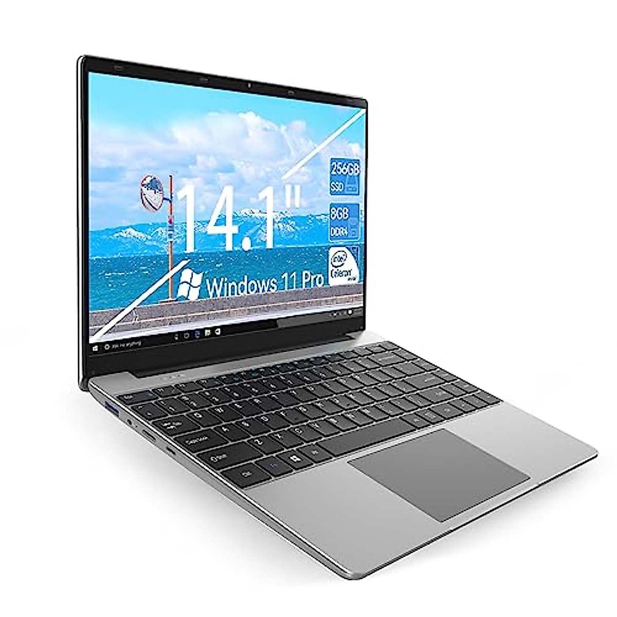 ANTEMPER 14.1 inch Laptop, 8GB RAM 256GB SSD, Windows 11 Laptop with Intel Celeron N4020C(up to 2.8GHz), FHD IPS Display, Mini HDMI, 2.4/5.0G WiFi, USB3.0, Webcam, TF Card, Full-Featured Type-c