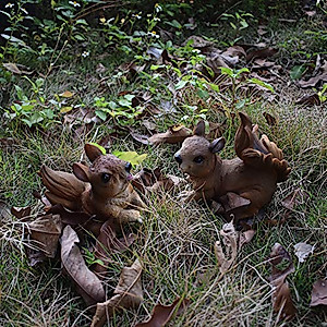 Squirrel Two pcs Resin Animal Garden Figurines Outdoor and Garden Decor Patio Yard (Resin, 5.8inch)