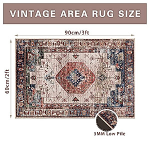 Falflor Area Rug 2'x 3' Vintage Distressed Entryway Rug Non Slip Indoor Door Mat Washable Throw Rug for Bedroom Low Pile Kitchen Floor Mat for Living Room Bathroom Laundry