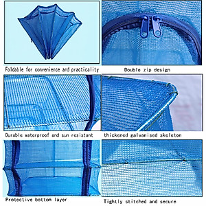 HHKTY Blue Drying Rack 3 Layer Hanging Drying Net Folding Fish Mesh with Zippers Non Toxic Nylon Dry Cage(Size:50x50x65cm,Color:Blue)