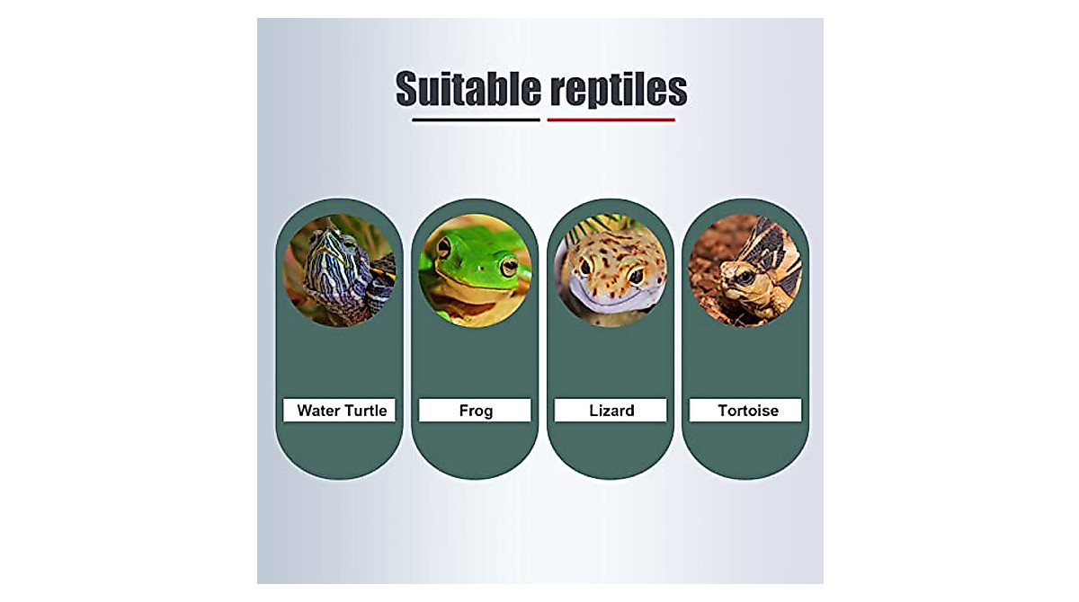 WEAVERBIRD Turtle Basking Platform - Safe Aquarium Reptile Dock