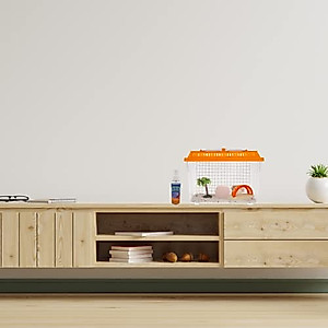 Needzo Hermit Crab Misting Spray Bottle for Cages and Terrariums, Water Bottles for Crabs, Reptiles, and Amphibians, First Pet Starter Kit, Pack of 3, 6.5 Inches