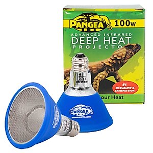 Pangea Deep Heat Projector 2-Pack for Reptiles with Carbon Fiber Filament, Deep Warming Infrared A and B Bulb for Basking Reptiles, Designed for Ceramic Sockets (100 Watt)