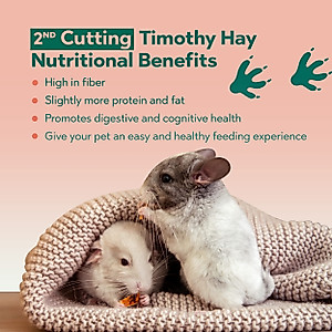 Andy 2nd Cut Timothy Hay Andy-Pak Feeder Boxes, 4 Pack of 1.5 Lb Boxes, Premium Rabbit Food Hay for Rabbits, Chinchillas, and Guinea Pigs