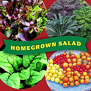Seeds N Such 2380 Hand Selected Garden Salad Mix Seeds | Includes 5 Individually Packaged Seed Packs - Cherry Tomato, Kale, Black Seeded Simpson, Red Salad Bowl & Spinach | Untreated & Non-GMO