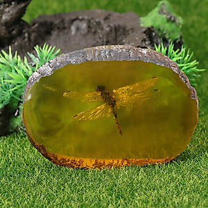 Amber,Artificial Amber Specimen Pendant Butterfly Scorpions Insects Amber Stone Ornament for Collection(Dragonfly)