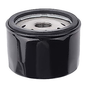 Panari AM125424 492932 696854 492932S 842921 795890 Oil Filter 2Pack