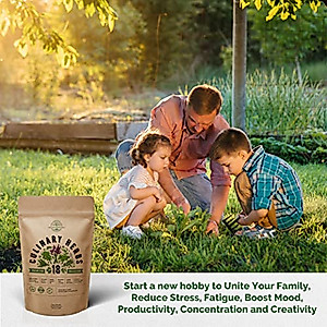 18 Culinary Herbs Seeds Variety Pack - Heirloom, NON-GMO, Herbs Seeds for Planting Outdoor and Indoor - Home Gardening. Over 5000+ seeds including Rosemary, Thyme, Oregano, Mint, Basil, Parsley & More