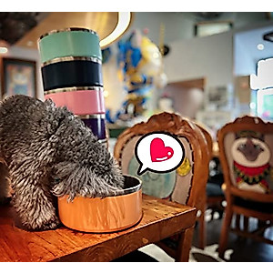 IKITCHEN Dog Bowl for Food and Water, 64 Oz Stainless Steel Pet Feeding Bowl, Durable Non-Skid Double Wall Insulated Heavy Duty with Rubber Bottom for Medium Large Dogs (64 Ounces/8 Cup, Orange)