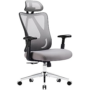 Office Chair, Desk Chair Computer Chair Ergonomic Office Chair with 2D Armrest Adjustable Lumbar Support & Headrest, High Back Home Office Desk Chair 135°Tilt Function Big and Tall Office Chair