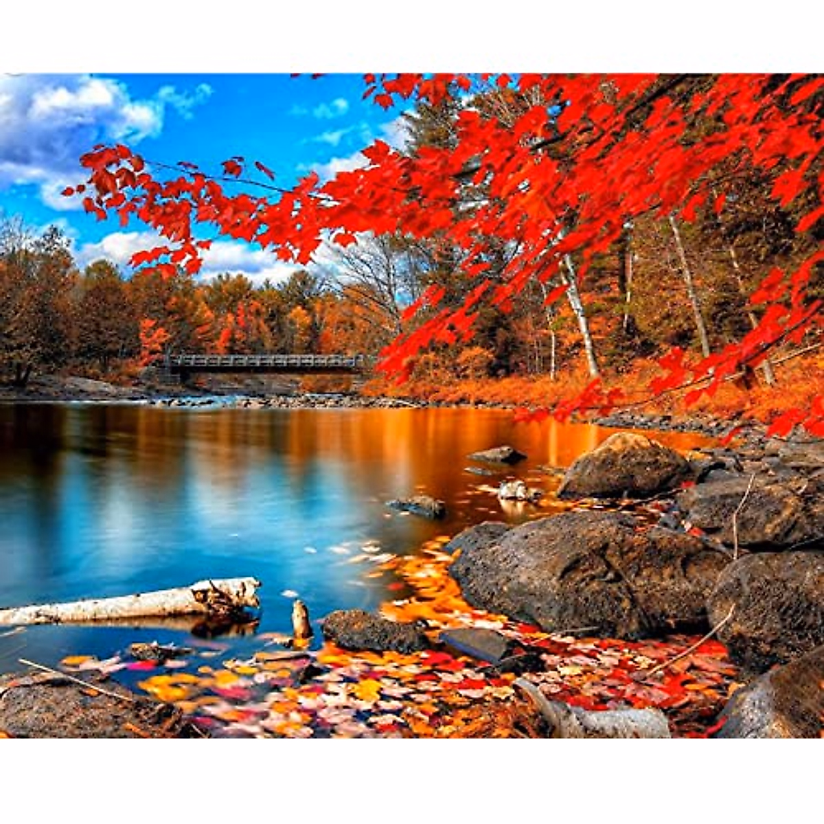 TOCARE DIY Acrylic Paint by Number for Adults On Canvas,Adult Painting by Numbers Kits Home Wall Art Decor,20x16Inch Maple Autumn Park-No Frame