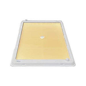 Catchmaster Cold Weather Glue Traps 6PK Mouse Traps Indoor for Home, Pest Control Adhesive Tray, Catch Bugs, Crickets, Spiders, Rats & Rodents, Pet Safe Pre-Baited Glue Boards for House, Shed & Garage