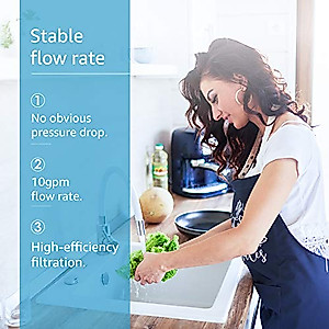 AQUACREST AP431 Replacement Cartridge for Aqua-Pure AP430SS, Whole House Scale Inhibitor Water Filter, Helps Prevent Scale Build Up On Hot Water Heaters and Boilers, Pack of 1