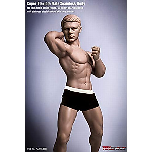 HiPlay TBLeague 1/6 Scale Seamless Male Action Figure Body- 12 Inch Super Flexible Collectible Figure Dolls (M30)