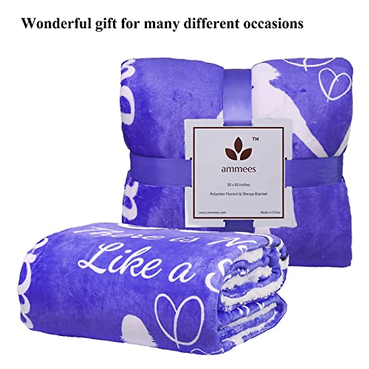 Sister Blanket - Soft, Cozy, Warm Sherpa Fleece Fabric with Kind, Inspirational Words - Thick, Double-Layered Material - Thoughtful Sister Gifts from Sister Christmas, Birthday, Valentine's Day (Blue)