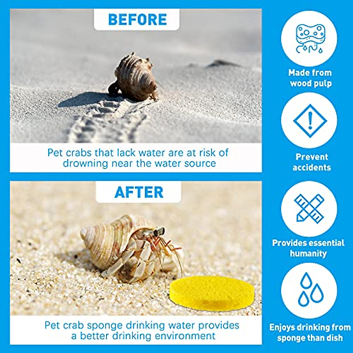 8 Pieces Hermit Crab Sponges Pets Crab Real Sea Sponges Unbleached Water Dish Sea Sponge Provide Nutrients Crab Sponges for Pet Hermit Crab Tank Humidity Supplies