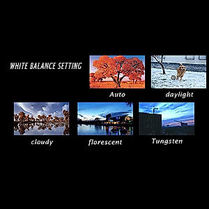 TOCHCA Digital Camera,Portable Cameras 16 HD Pixel Home Digital Camera Seniors Black