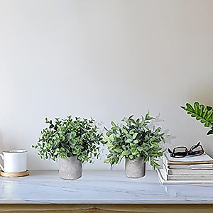 Winlyn Set of 2 Faux Mini Potted Plants Artificial Eucalyptus Boxwood Plants in Pots Fake Greenery Arrangement for Rustic Farmhouse Indoor Table Centerpiece Mantel Shelf Kitchen Office Desk Decor
