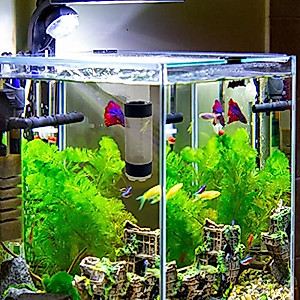 SHYEKYO Stainless Steel Aquarium Filter Intake Cover, Fish Shrimp Protect Cover Filter Guard Safe Inlet Inflow Protect Basket Mesh Media for Aquarium and Fish Tank Use (18mm Inner Diameter)