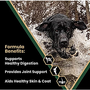 Victor Super Premium Dog Food – Performance Dry Dog Food – 26% Protein for Active Adult Dogs – Includes Glucosamine and Chondroitin for Hip and Joint Health, 40lbs