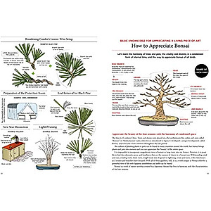 Introduction to Bonsai: The Complete Illustrated Guide for Beginners (with Monthly Growth Schedules and over 2,000 Illustrations)