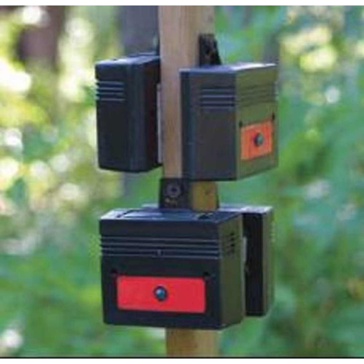 Nite Guard Solar NG-001 Predator Control Light,Single Pack, Black