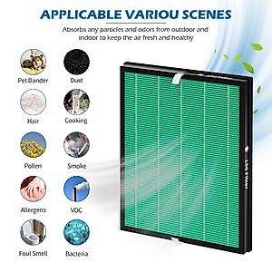 VALZONE 2 Pack 150 True HEPA Filter Replacement Sets for Coway Airmega 150 Air-Purifier, 2 *Green True HEPA and 4 *Active Carbon Filters, Part Number AP-1019C-FP